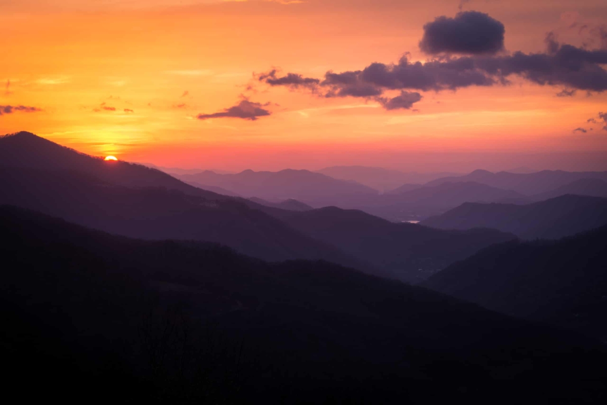 The Kessler Collection is Proud to Present Harvest of Hope for ...